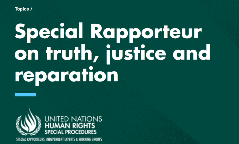 Role and responsibilities of non-State actors in transitional justice ...